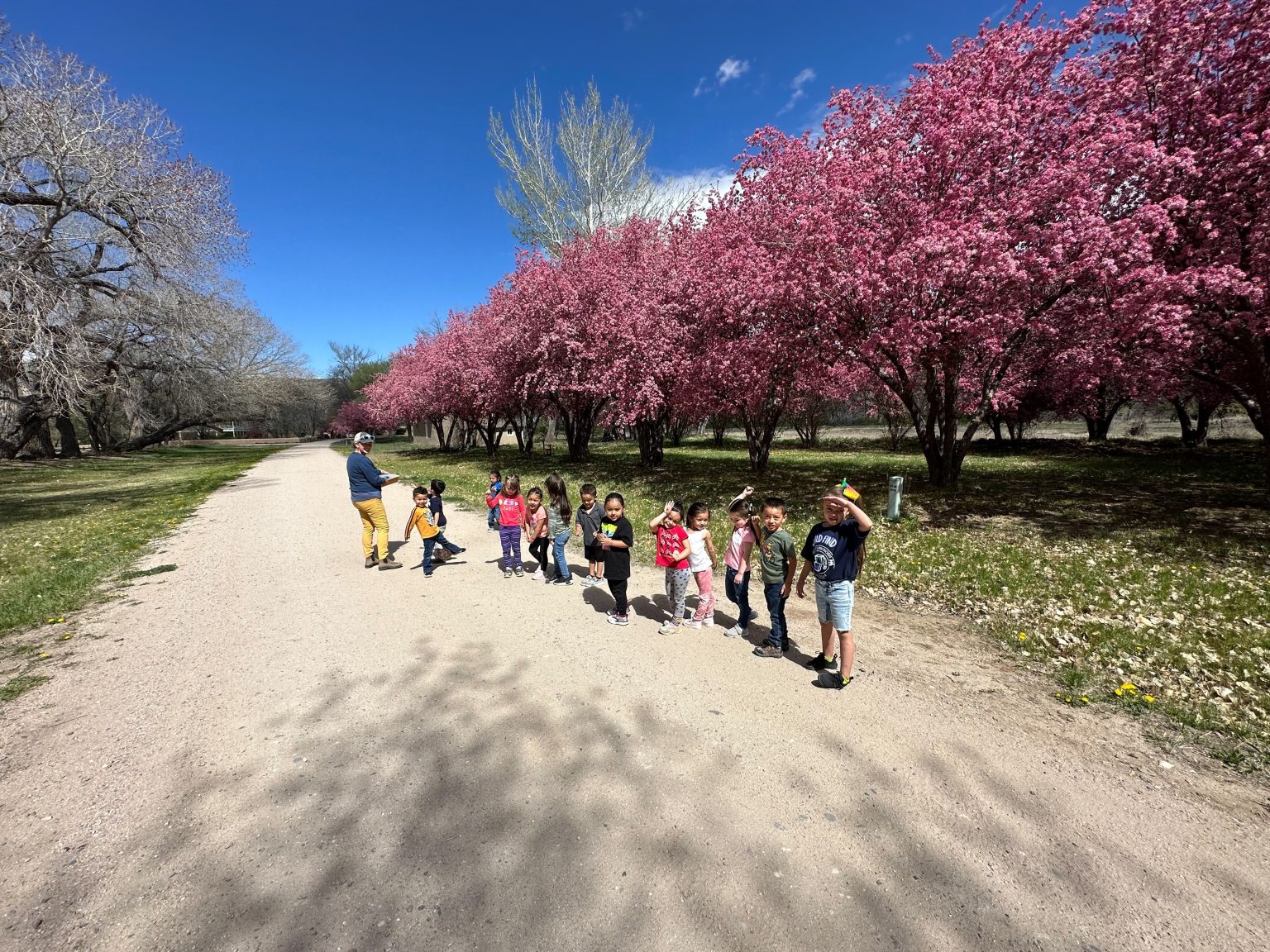 Current Grantees – LANL Foundation